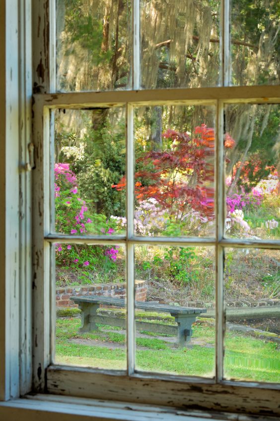 From A Neighbor’s Window